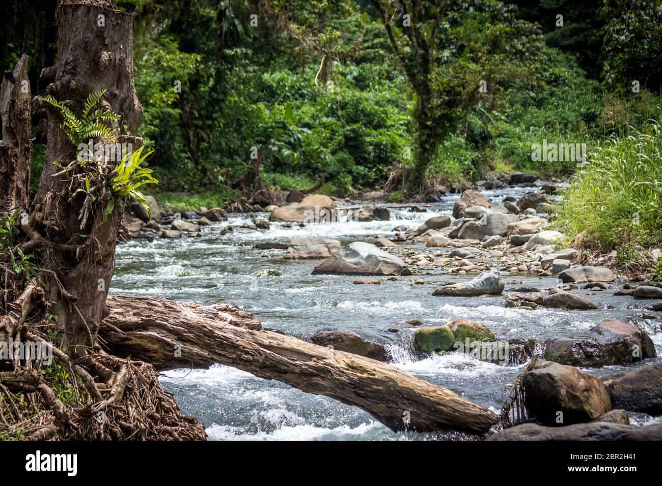 A peaceful river in Papua New Guinea, popular for gold mining, on the ...
