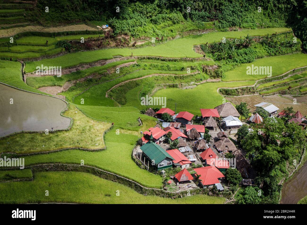 Terrace farms southeast asia hi-res stock photography and images - Alamy