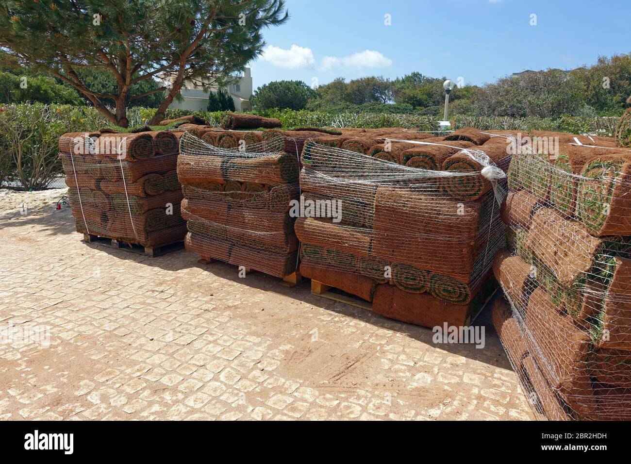 Pallets containing rolls of turf for new lawn Stock Photo - Alamy