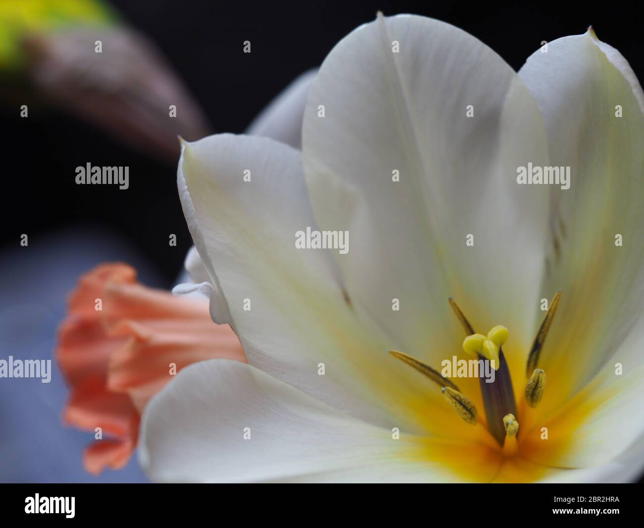 Open photography hi-res stock photography and images - Alamy