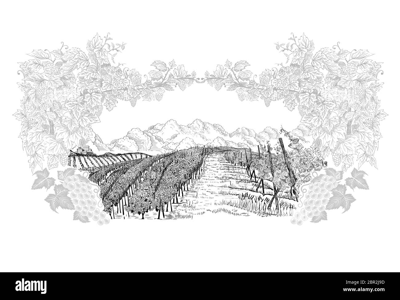 Landscape of vineyard inside of decorative Frame from grapes and vines, hand drawn in sketch ...
