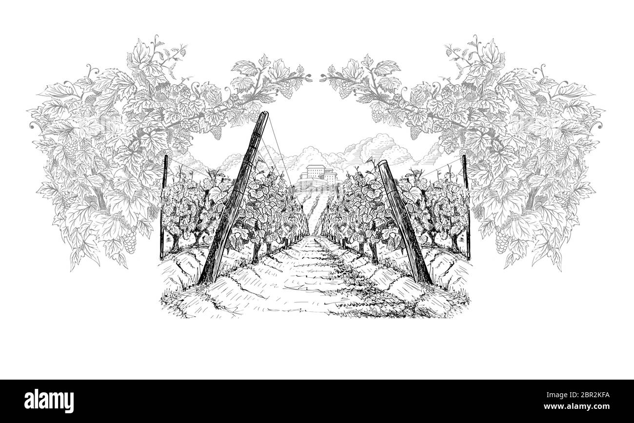 Vineyard with farm on horizon inside of decorative arc from grapes and ...
