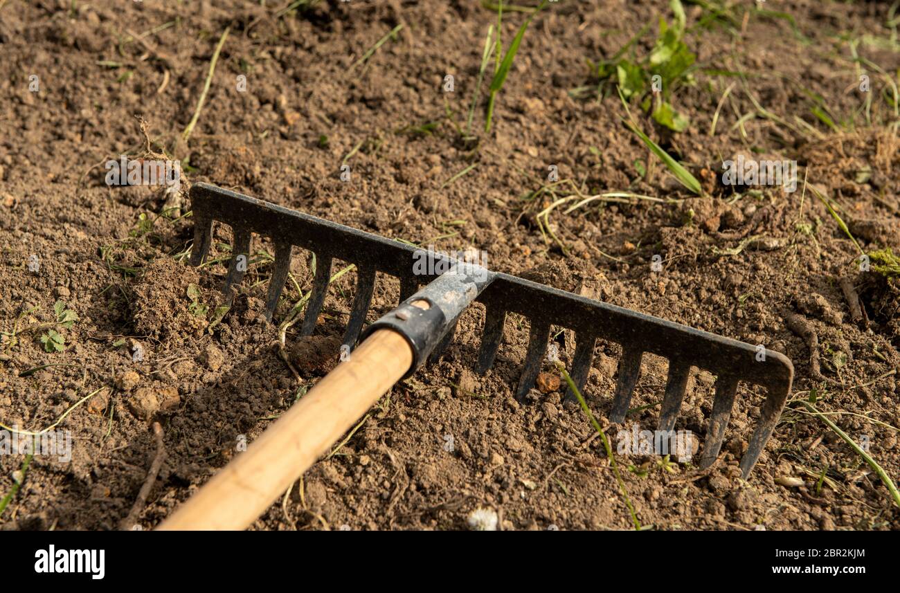 a rake on the ground Stock Photo - Alamy