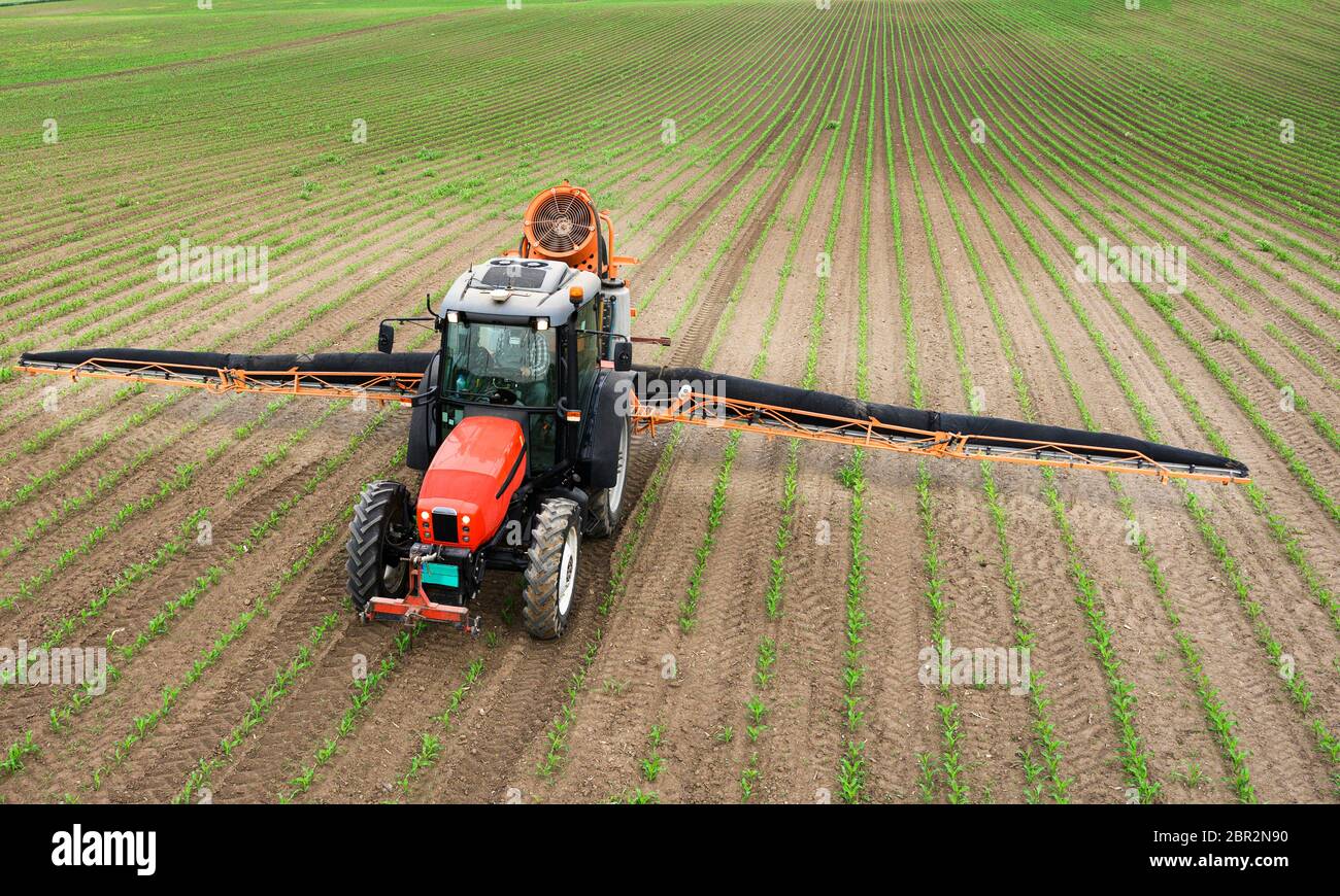 Tractor spraying pesticides on corn field with sprayer at spring Stock ...