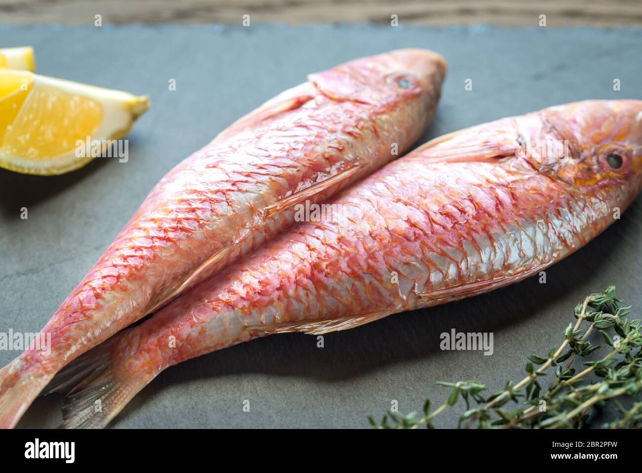 Mullet top hi-res stock photography and images - Alamy