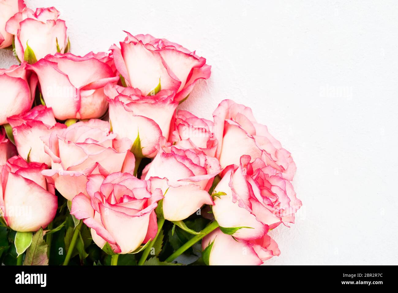 Pink roses bouquet on light background. Mother's day, Valentines Day ...