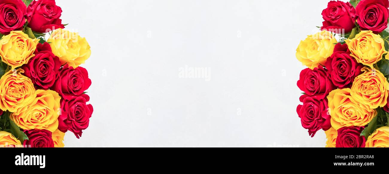 Banner. Red and yellow roses bouquet. Mothers day, Valentines Day ...