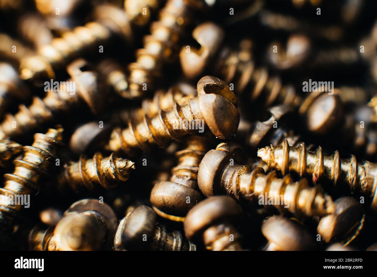 Close-up, macro. Old Soviet brass pan head screw with a flat head ...