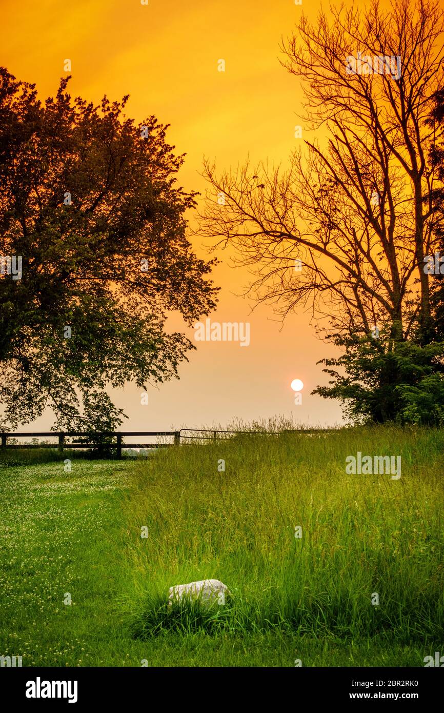 Kentucky bluegrass region hi-res stock photography and images - Alamy