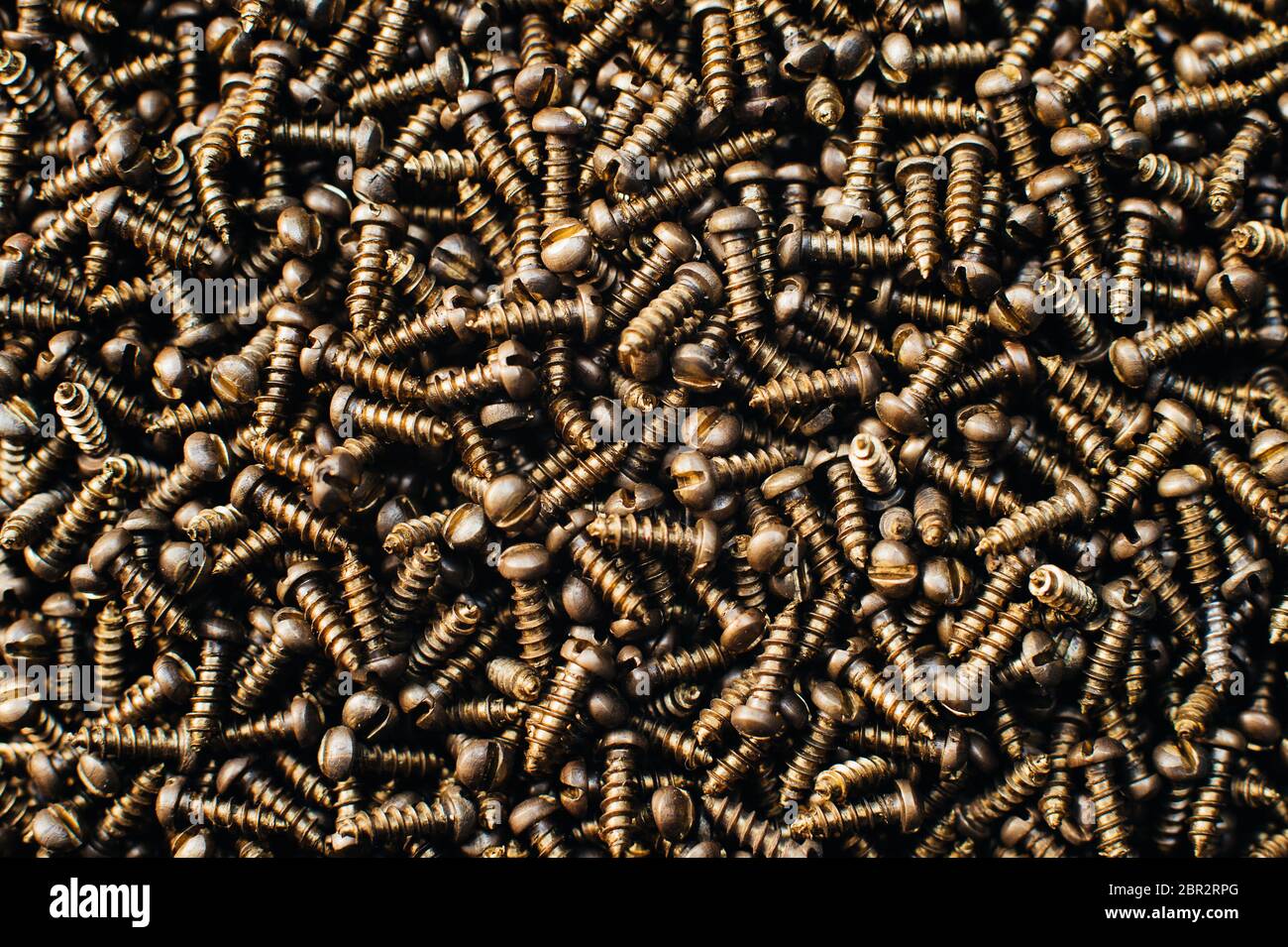 Close-up, macro. Old Soviet brass pan head screw with a flat head ...