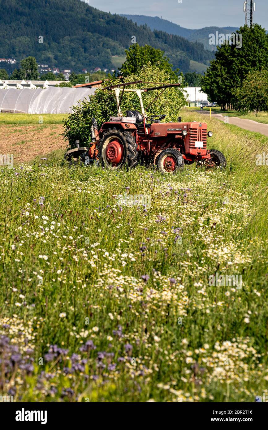 Old rice farming equipment hi-res stock photography and images - Alamy