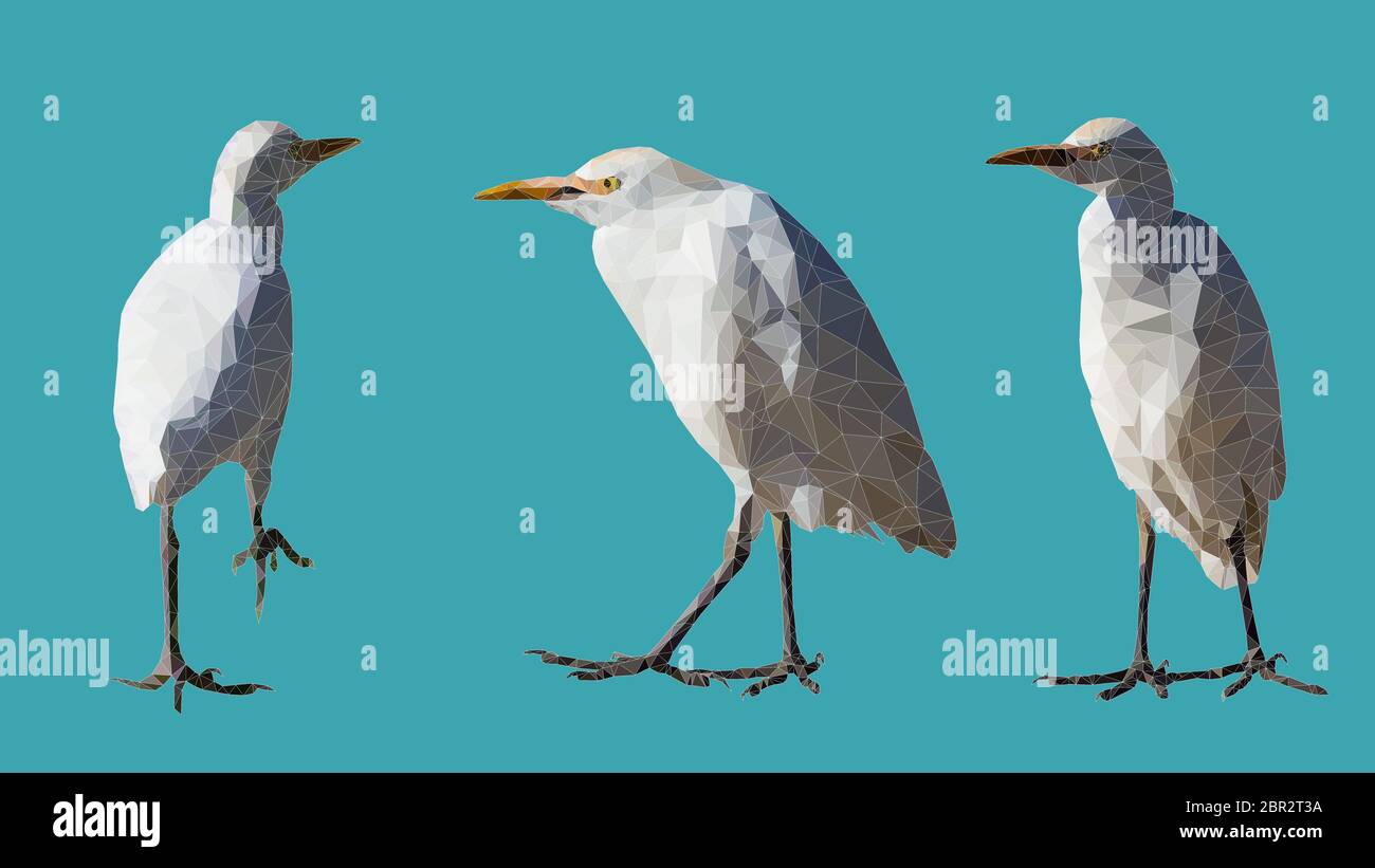 Low poly illustration of a little egret in 3 different postures Stock ...