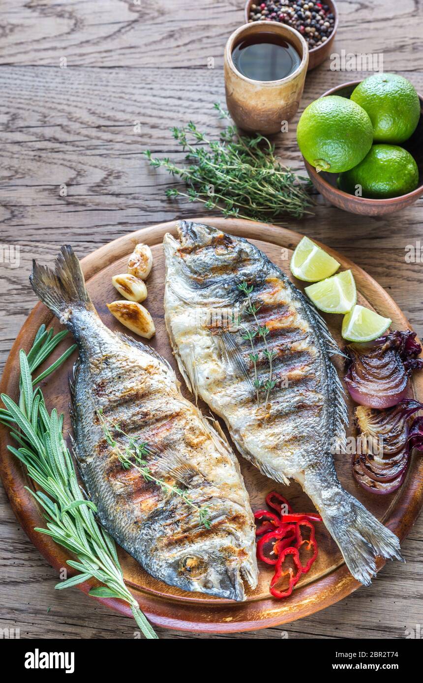 Dorade Royale Fish Stock Photo - Alamy
