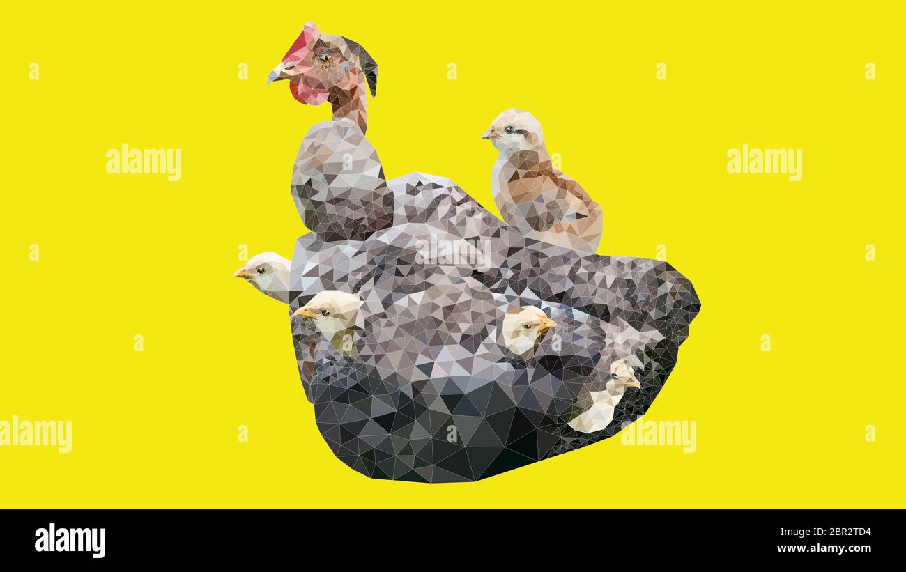 Low poly illustration of a hen caring for her 5 young chicks Stock ...