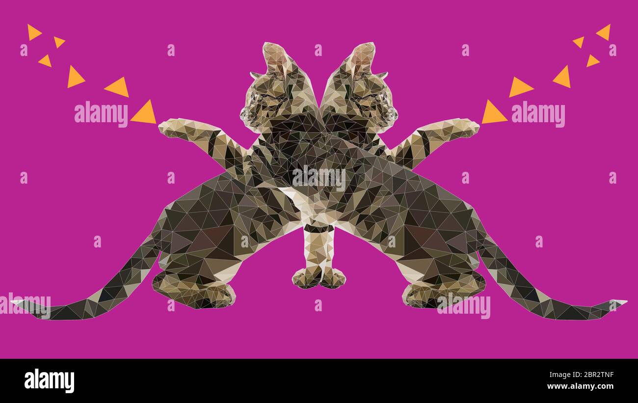 Low poly illustration of a kitten extending its paw, in kaleidoscope ...