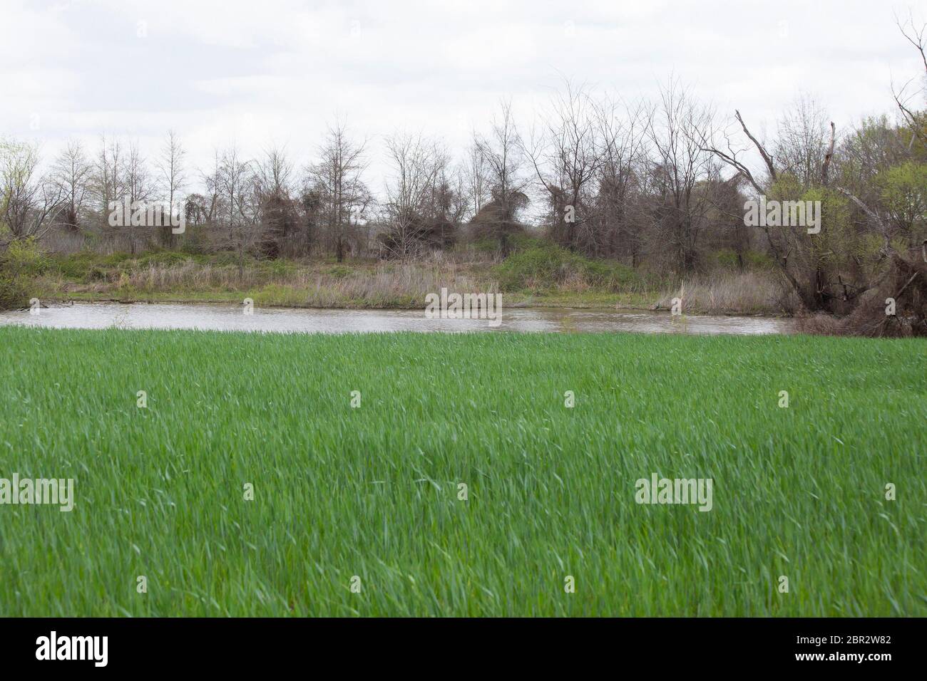 Freshwater slough hi-res stock photography and images - Alamy