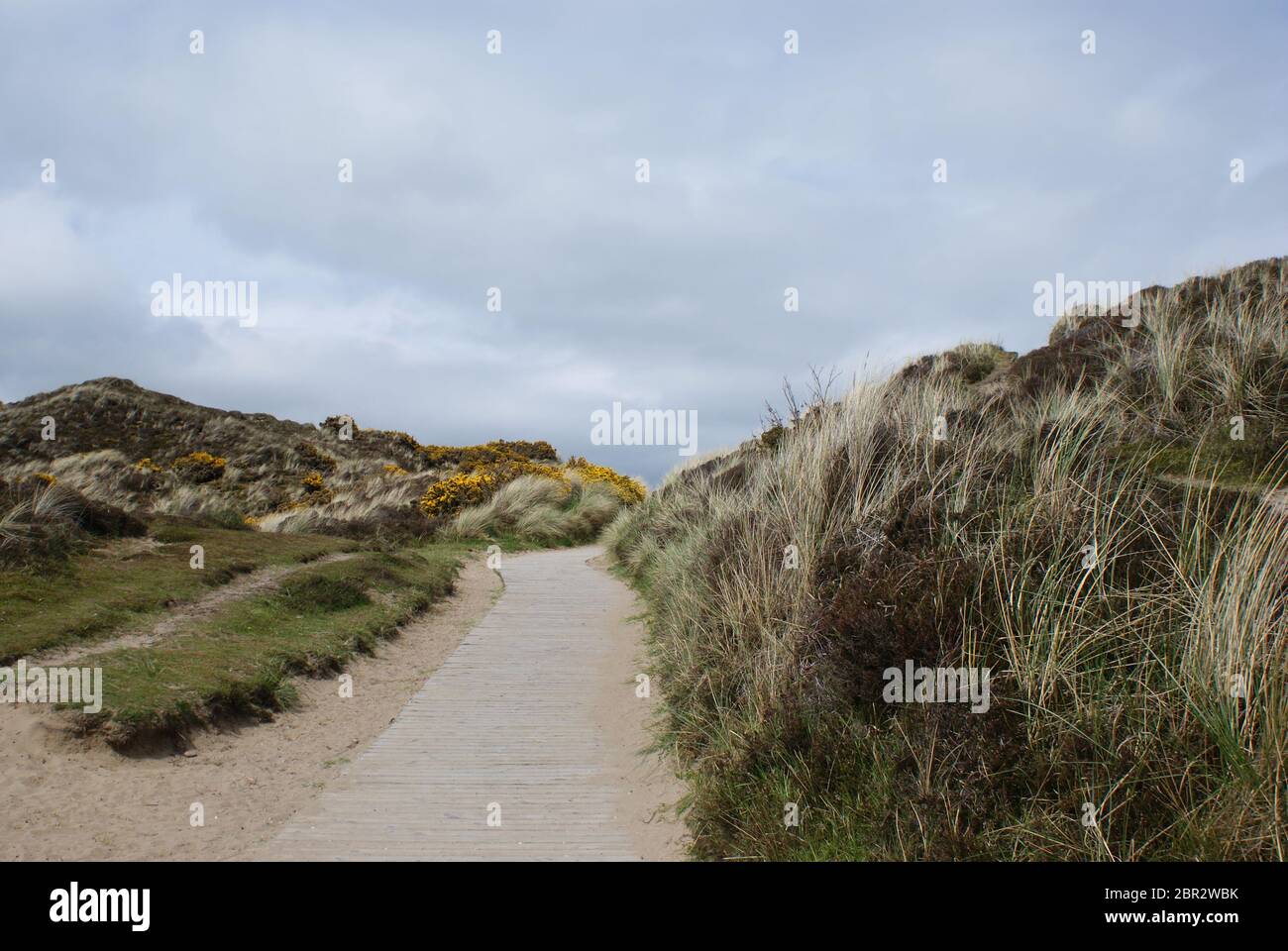 Walking On A Path In The Sand Dunes High Resolution Stock Photography ...