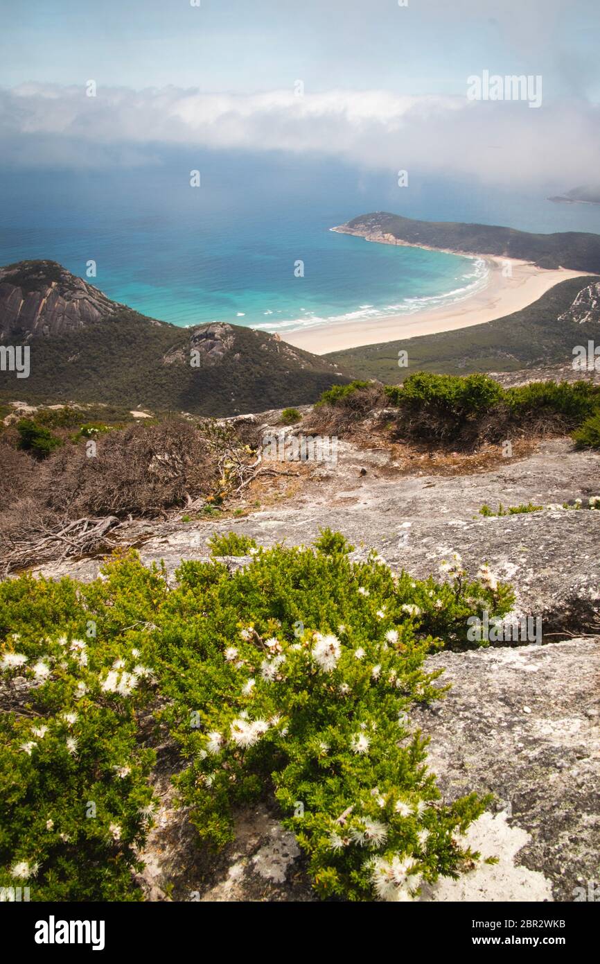 Wilsons Promontory Park, Australia Top of the hiking in Mt Oberon Stock ...