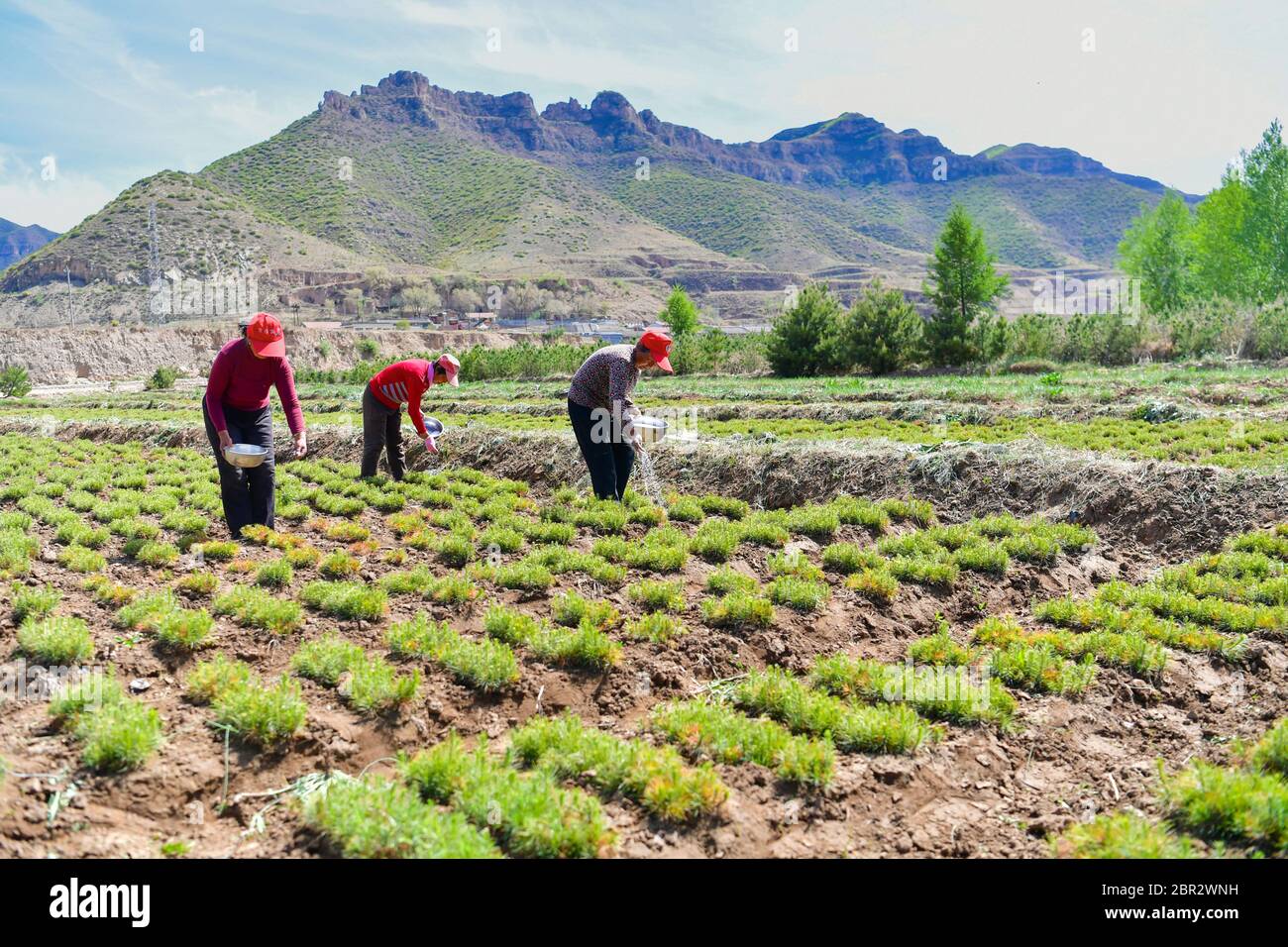 Remote farmers village hi-res stock photography and images - Alamy