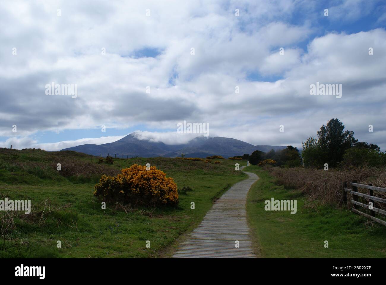 The mourne way path hi-res stock photography and images - Alamy
