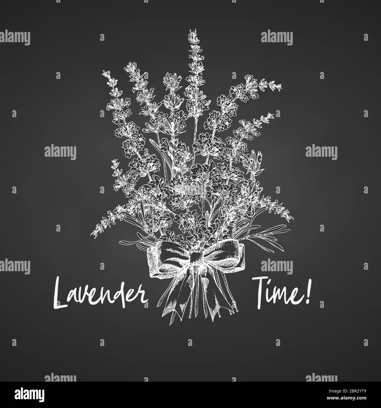 Lavendar france lavender Stock Vector Images - Alamy
