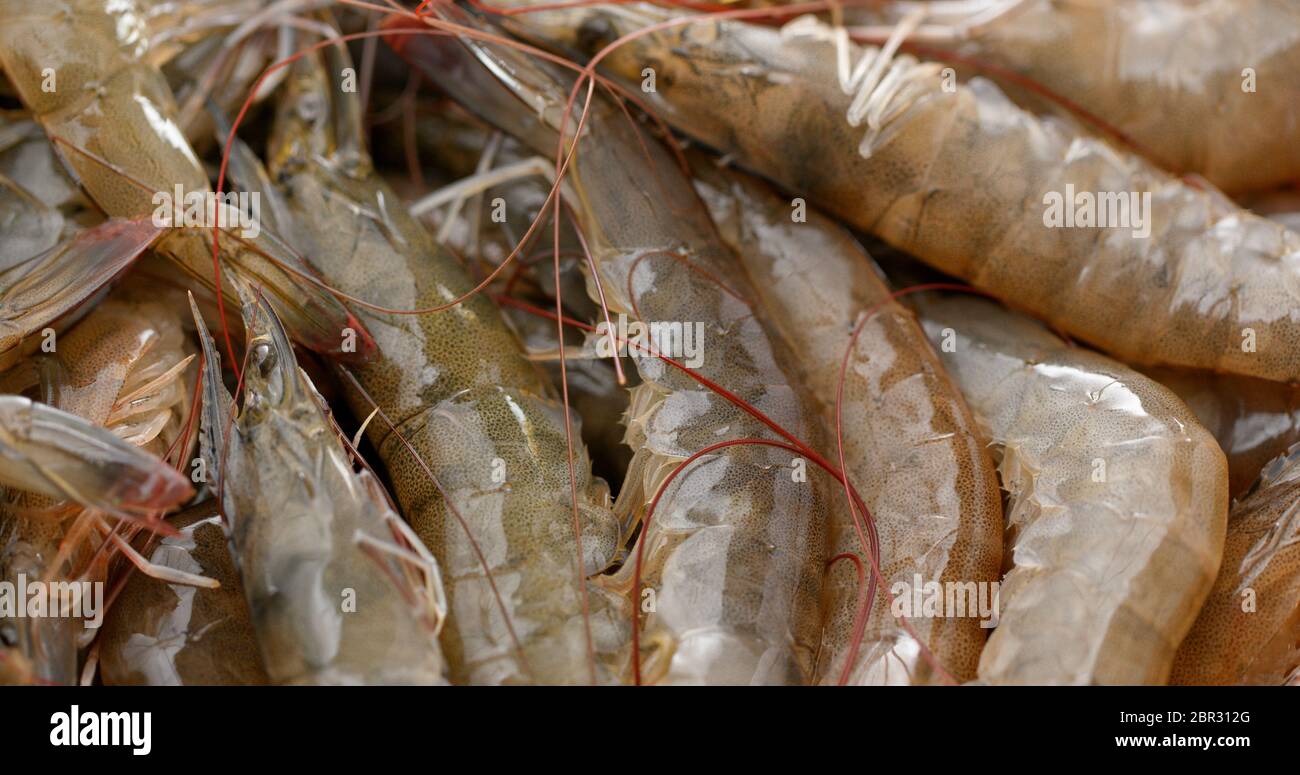 Fresh raw shrimp Stock Photo - Alamy