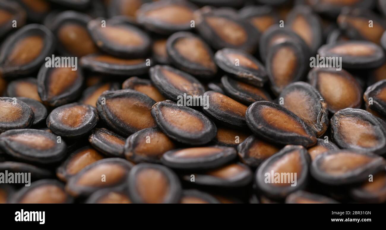 Black watermelon seed Stock Photo - Alamy