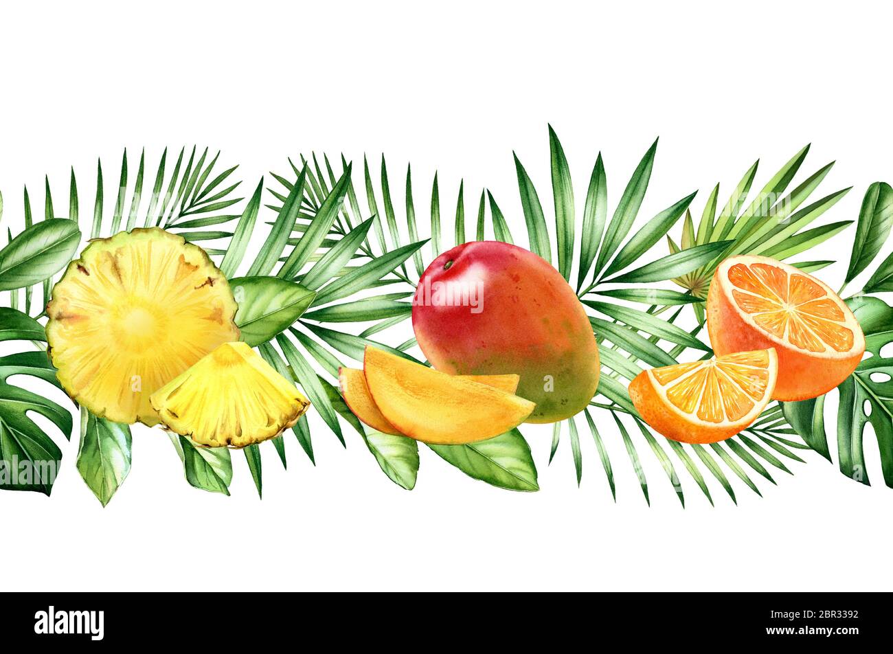 Watercolor tropical seamless border. Orange, mango an ananas fruits in ...