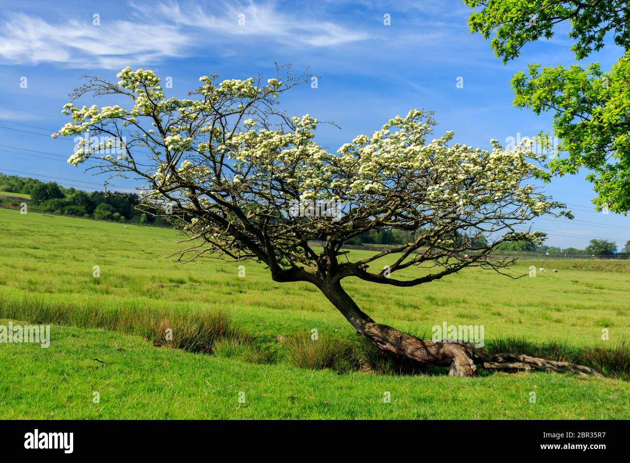 Witton weavers way hi-res stock photography and images - Alamy