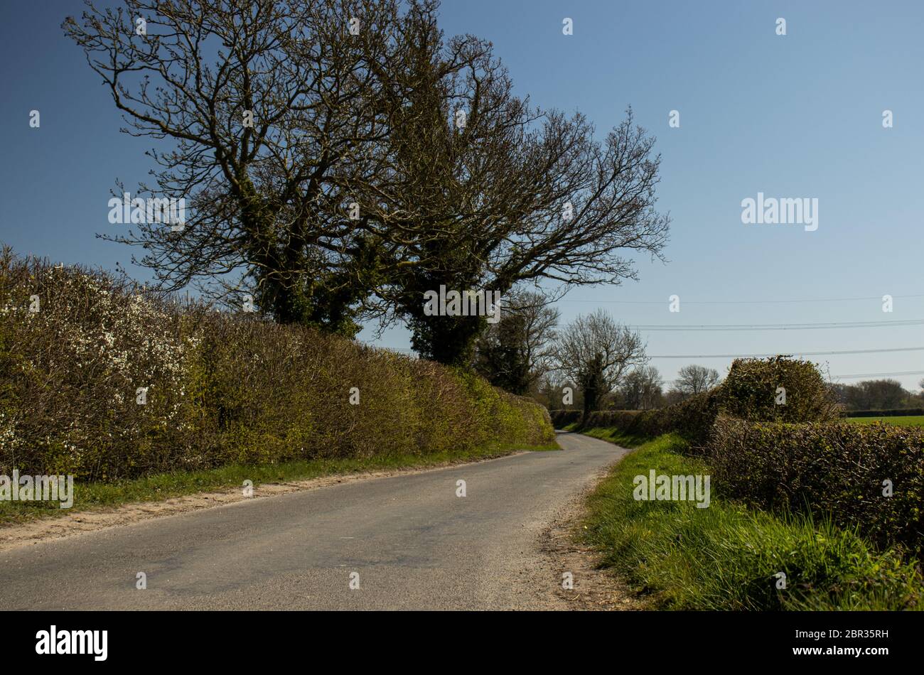 Old grassy road hi-res stock photography and images - Alamy