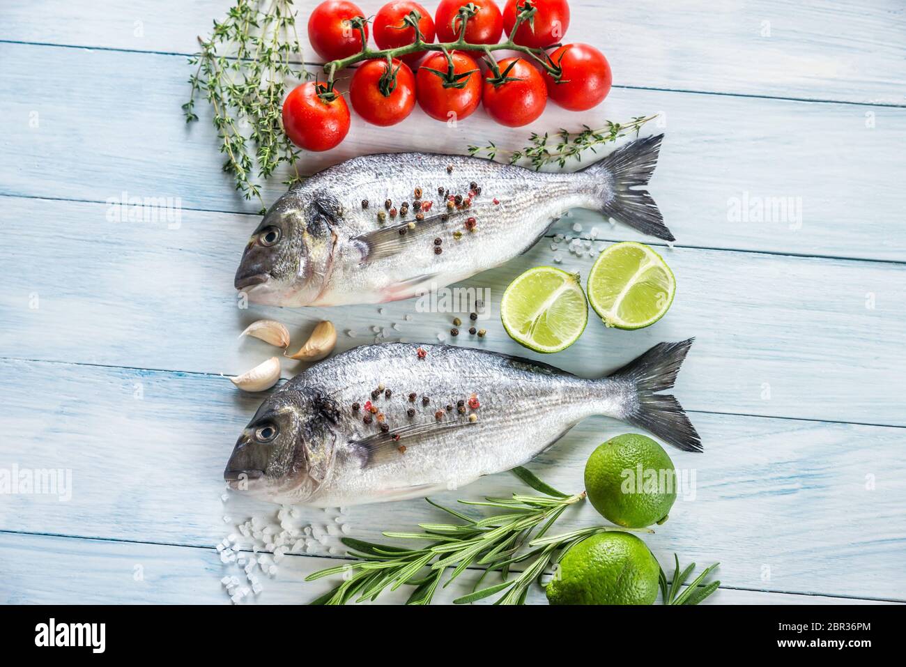 Dorade Royale Fish Stock Photo - Alamy