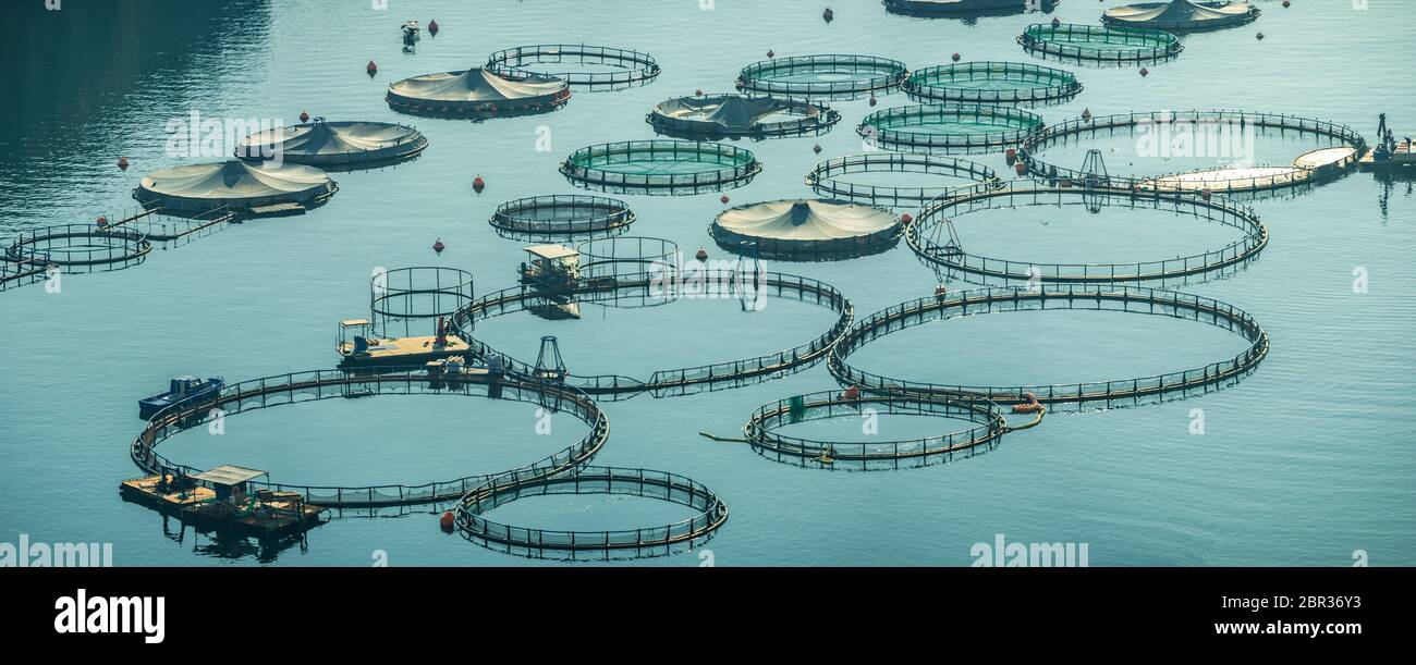 Morning View on Fish Breeding Farm in southern Peleponnes, Greece Stock ...