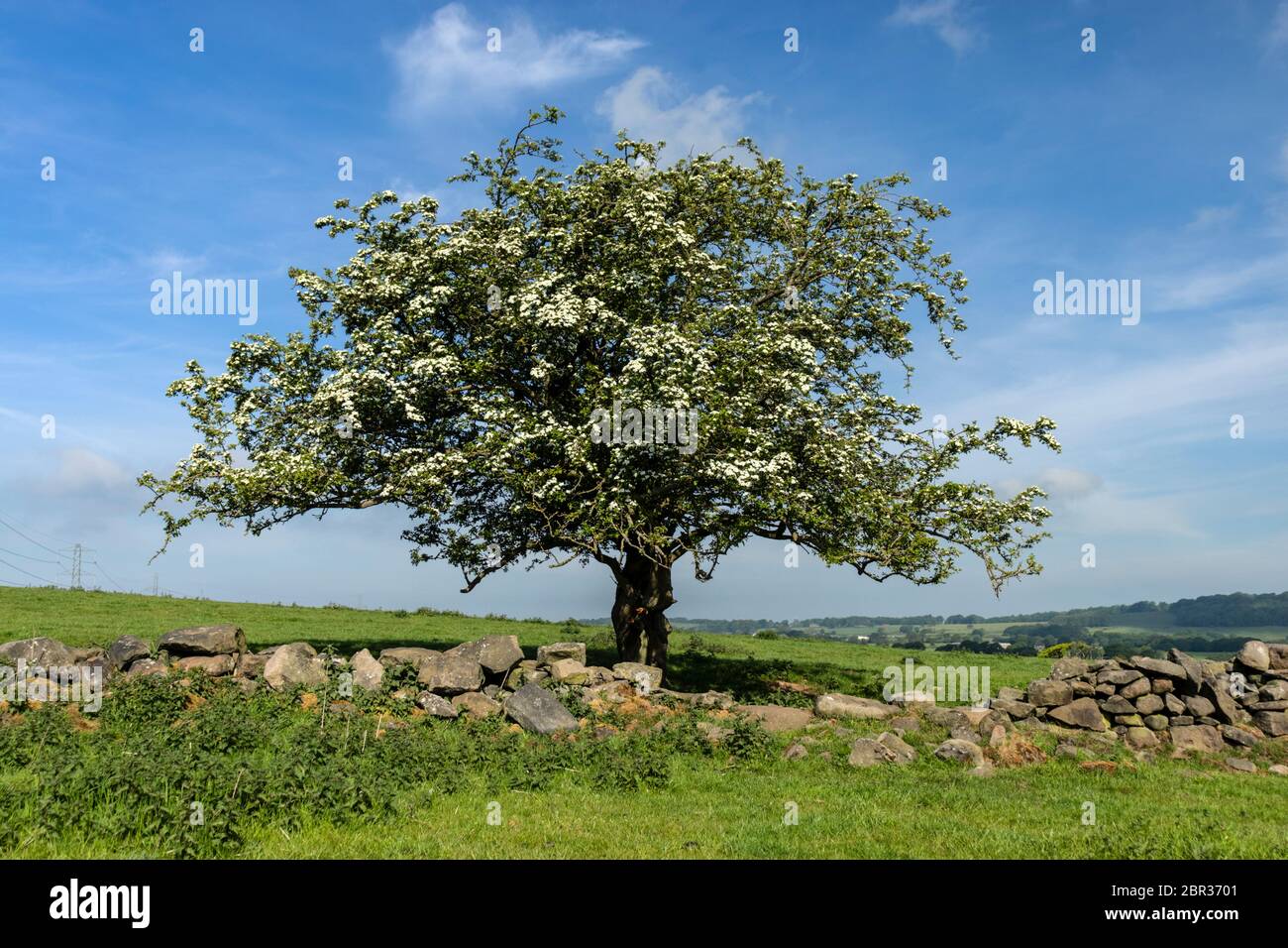 Witton weavers way hi-res stock photography and images - Alamy