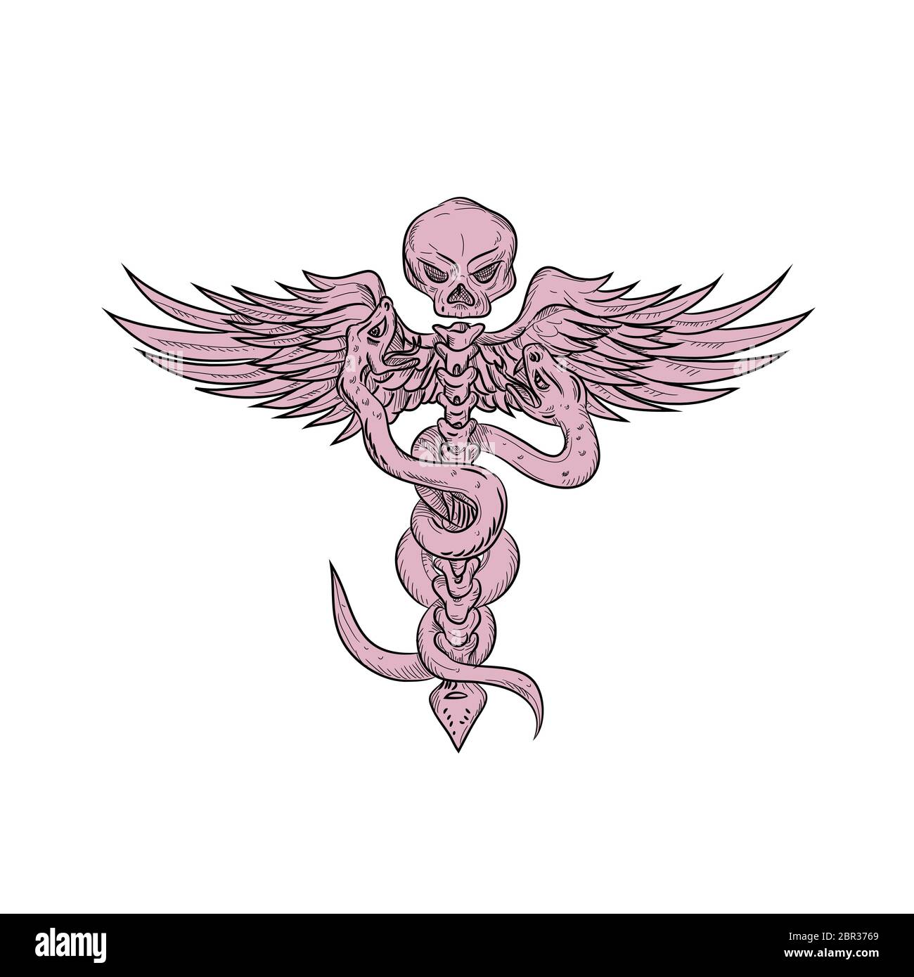 Drawing sketch style illustration of a human skull with two snake ...