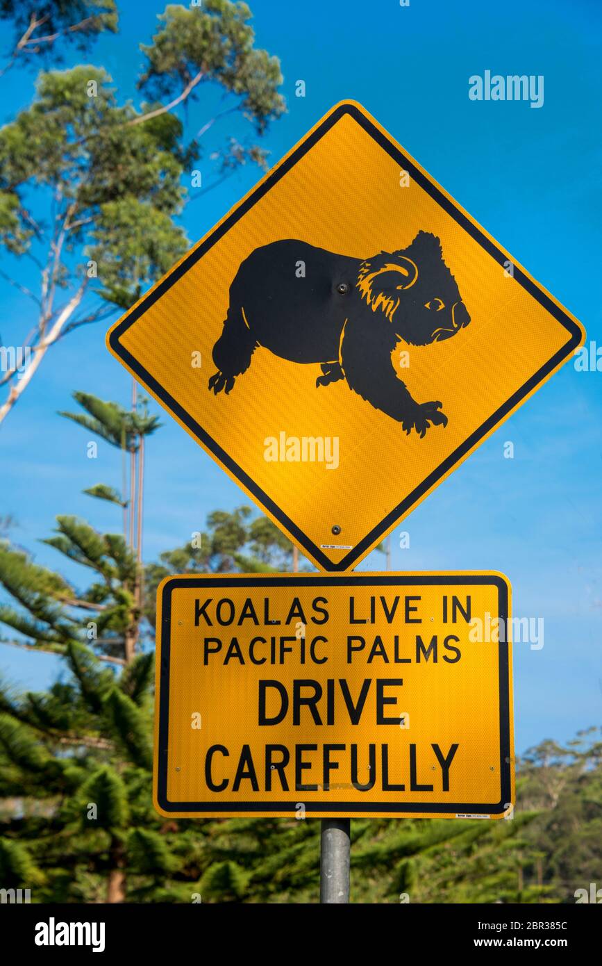 Koalas warning sign hi-res stock photography and images - Alamy