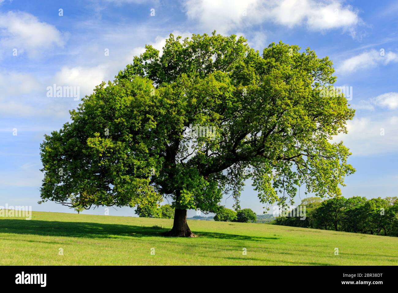 Witton Weavers Way High Resolution Stock Photography and Images - Alamy