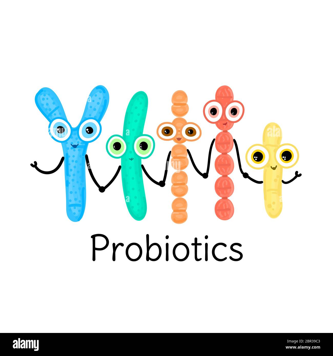 Probiotics. Lactic acid bacterium. Bifidobacterium, lactobacillus ...