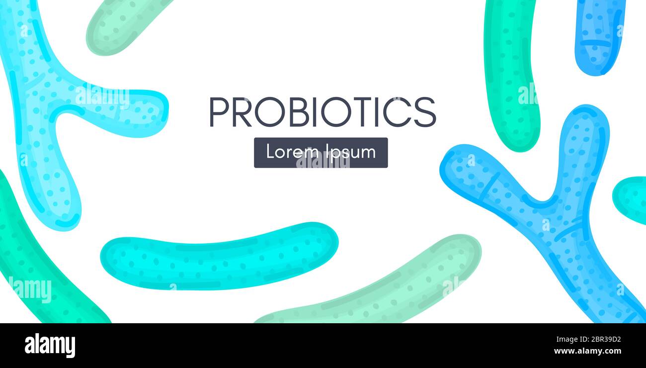 Probiotics Lactic Acid Bacterium Bifidobacterium Lactobacillus