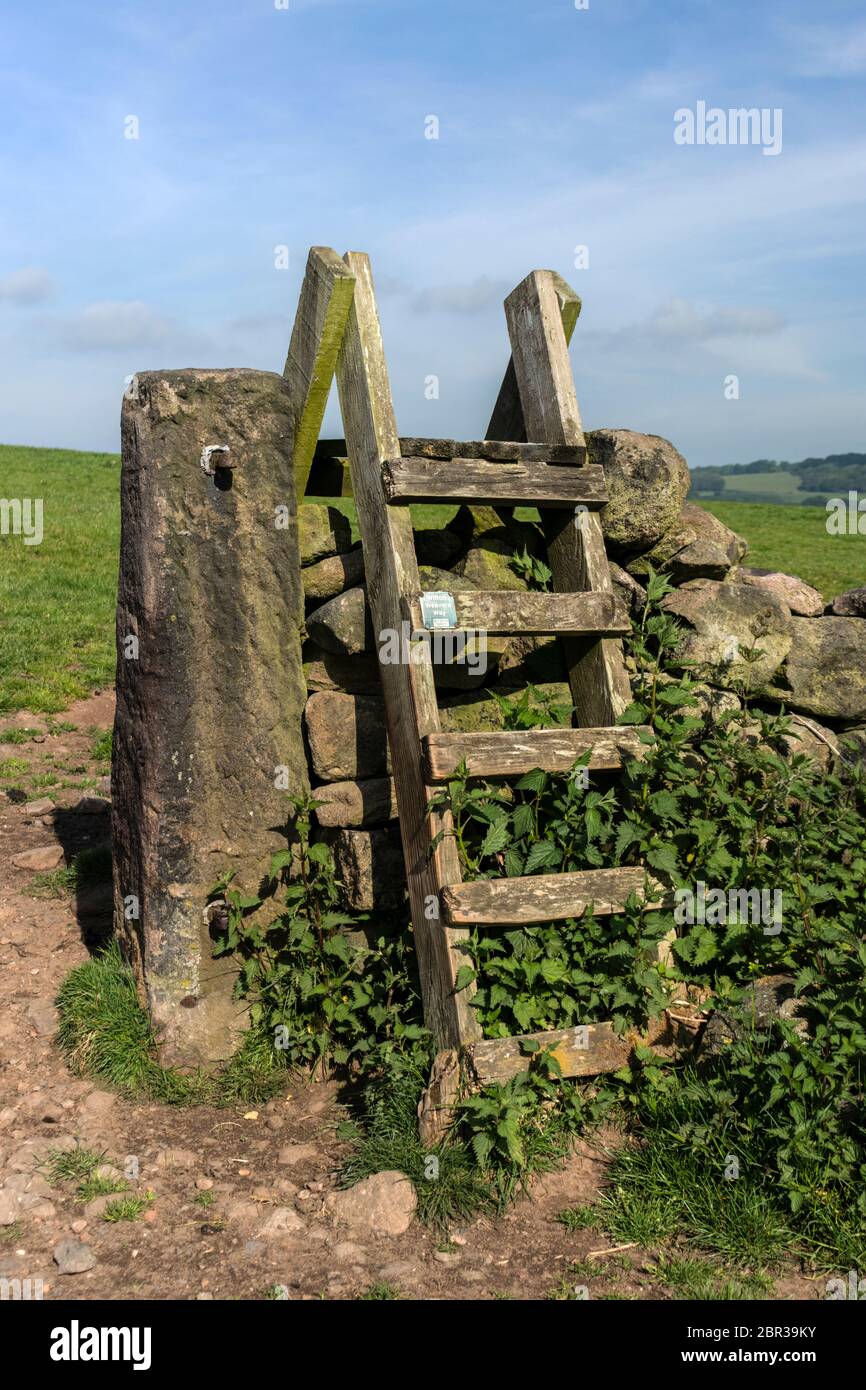 Ladder stile on the Witton Weavers Way Stock Photo - Alamy
