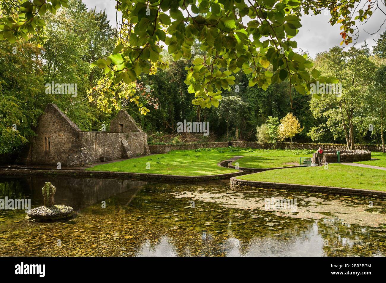 Saint Patrick Well in Clonmel, Ireland, church ruins from 17th century ...