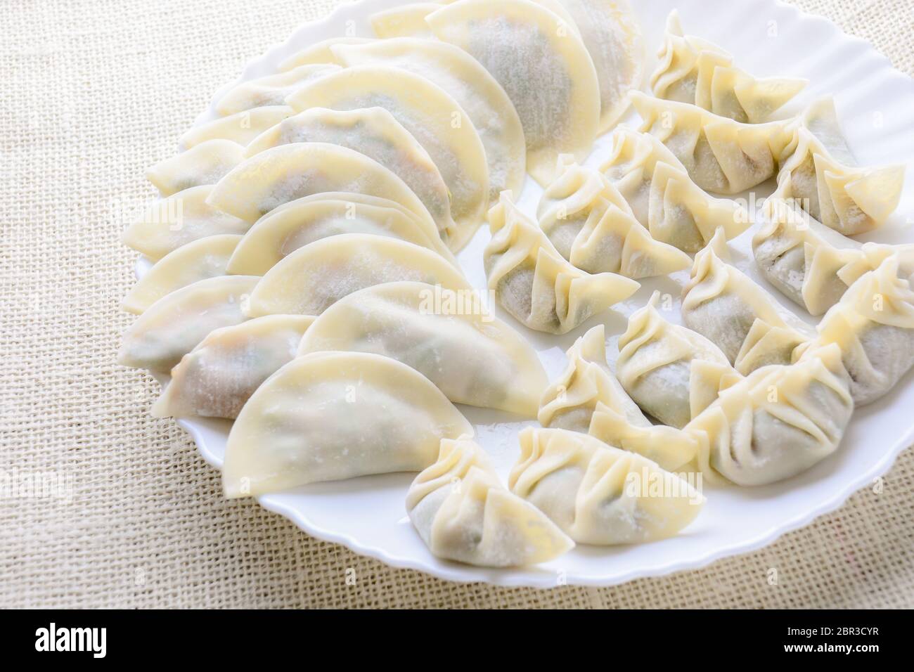 Japanese Fried Dumplings, the half moon-shaped dumplings served in ...