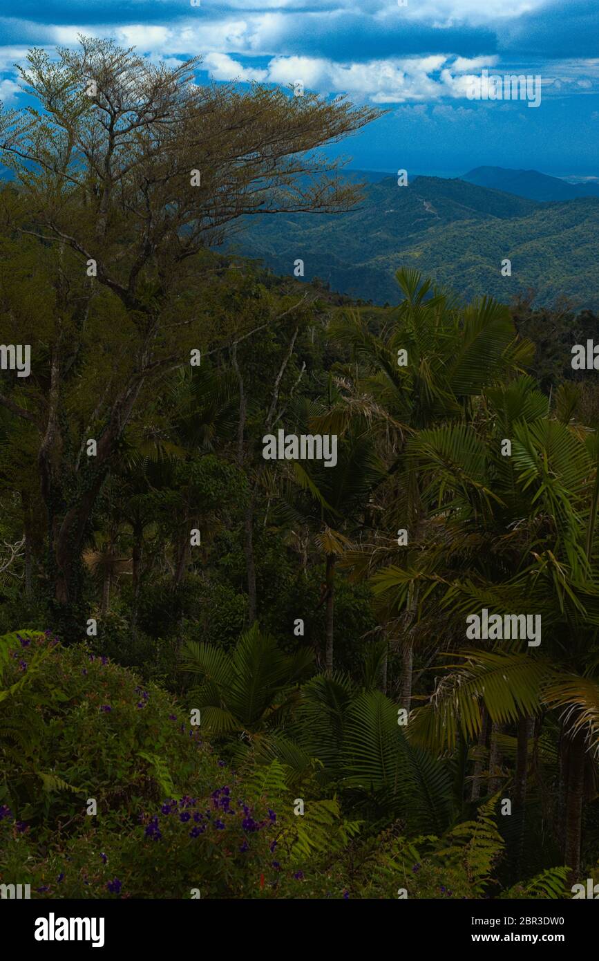 Puerto Rico scenic Stock Photo - Alamy