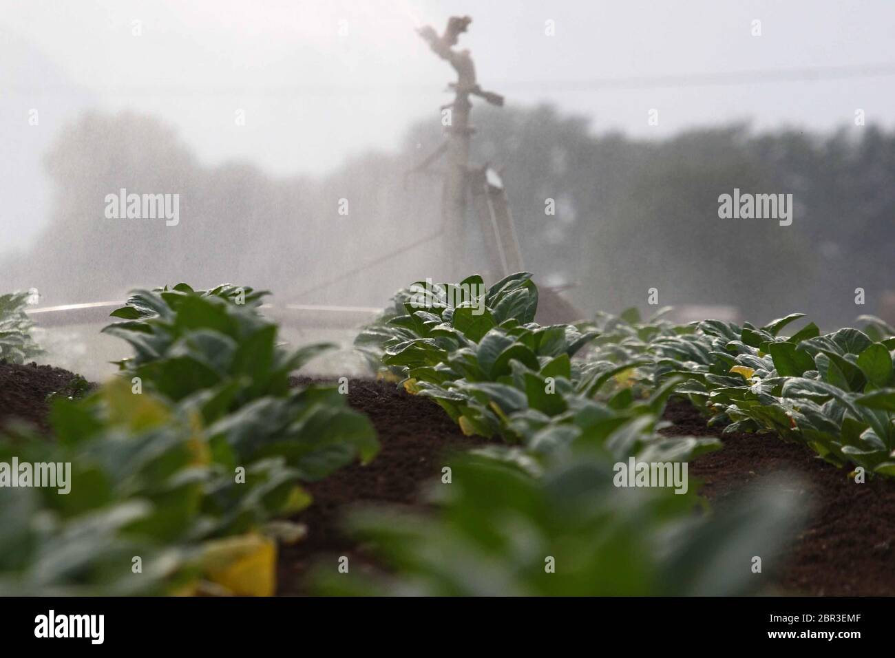 Land pollution caribbean hi-res stock photography and images - Alamy
