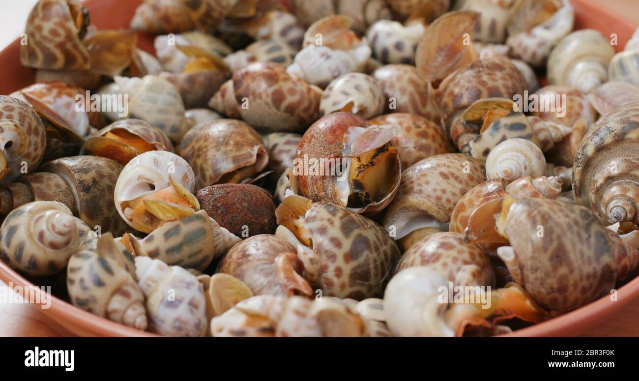 Steam snail on dish Stock Photo - Alamy