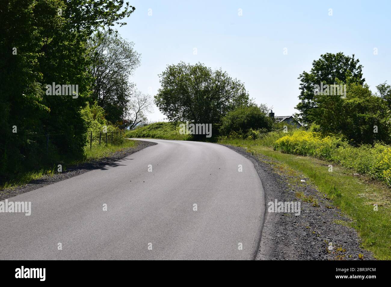 small country road also used for Rheinsteig connection Stock Photo - Alamy