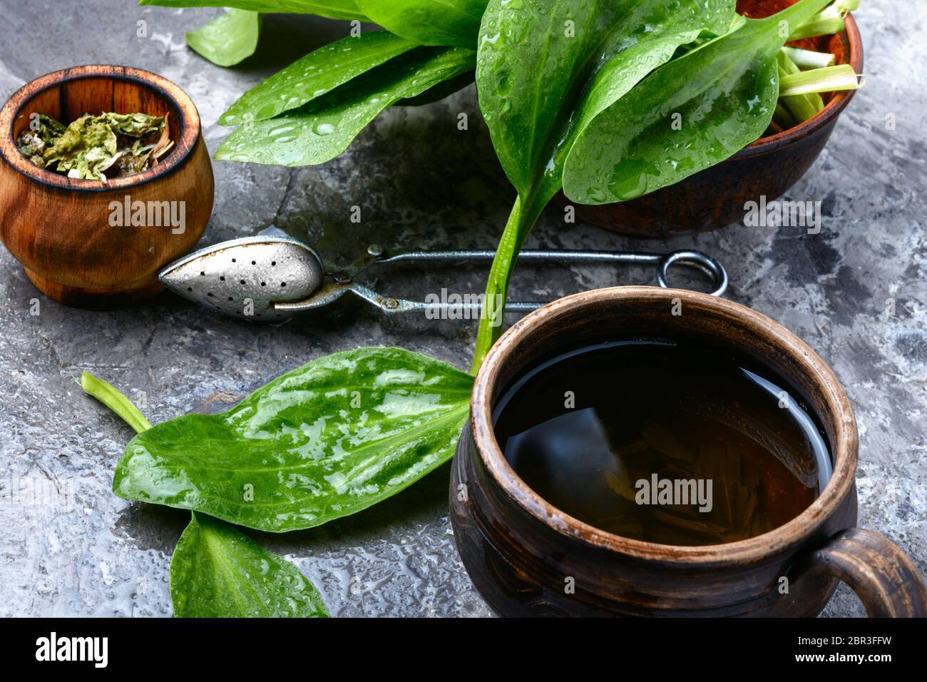 Plantain tea with fresh ribwort plantain leaves Stock Photo - Alamy