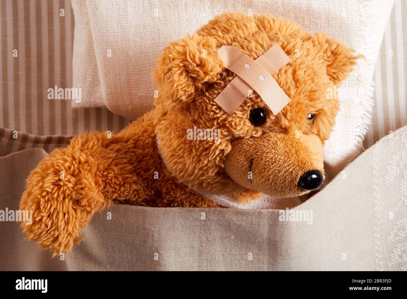 Cute little teddy bear with head trauma wearing a plaster on his ...