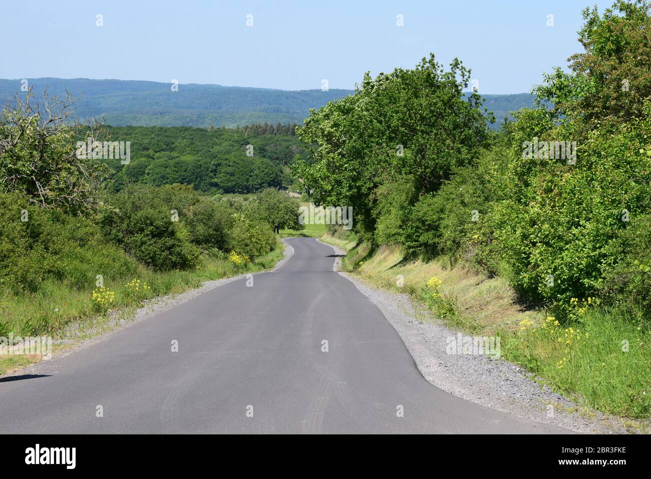 small country road also used for Rheinsteig connection Stock Photo - Alamy