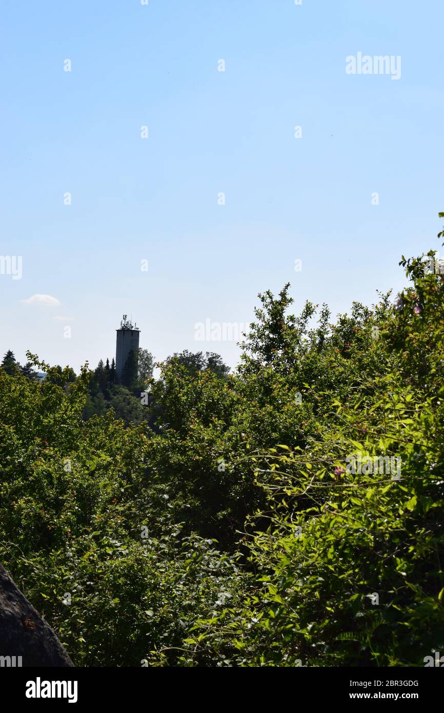 water tower between trees Stock Photo - Alamy
