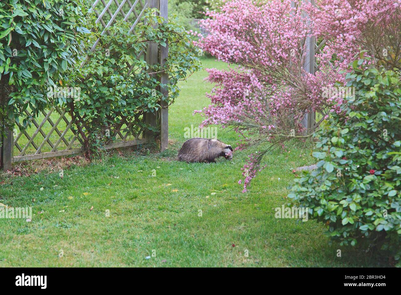 Garden in louth hi-res stock photography and images - Alamy